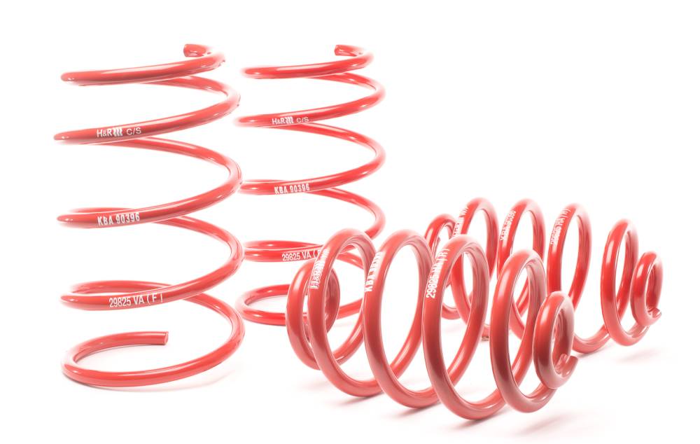 H&R Sport Lowering Springs - BMW 318i E36 1992-1998 – Euro Sport ...